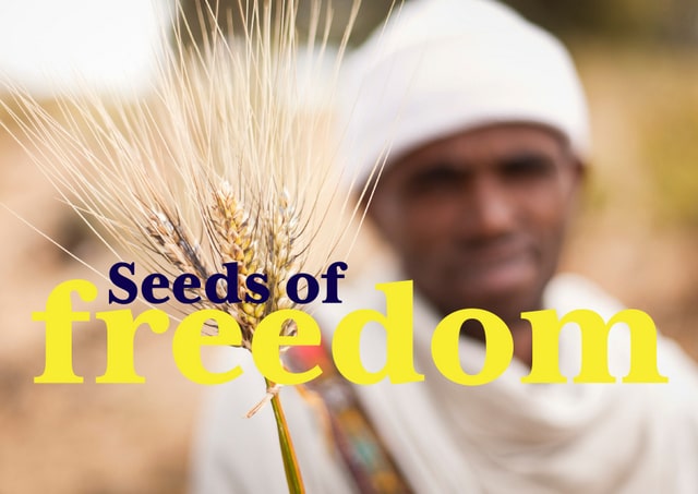 SEEDS OF FREEDOM: Securing our food sovereignty [video] | The Mindful Word
