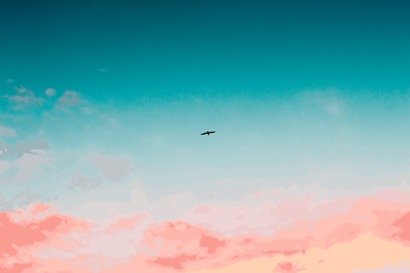 A QUAKER LIFE: Simplicity, unity, worship, justice, community | The ...