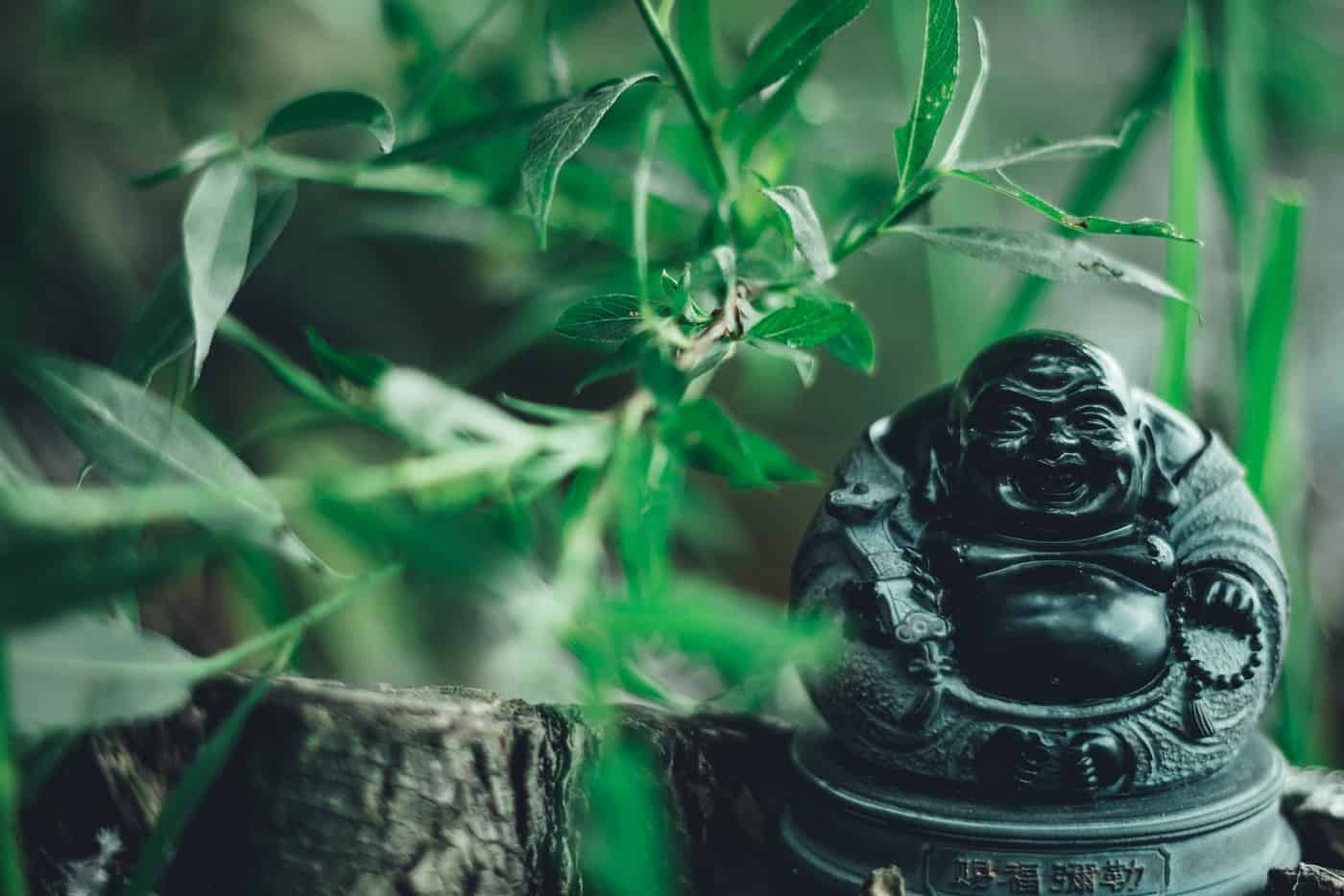 CO-CREATE WITH THE SOUL: Magic happens when we release limiting beliefs